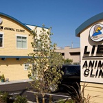 Lien Animal Clinic - Corstone