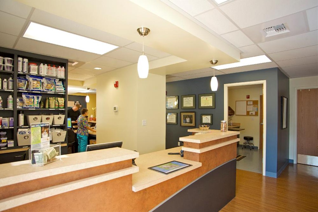Lien Animal Clinic - Corstone