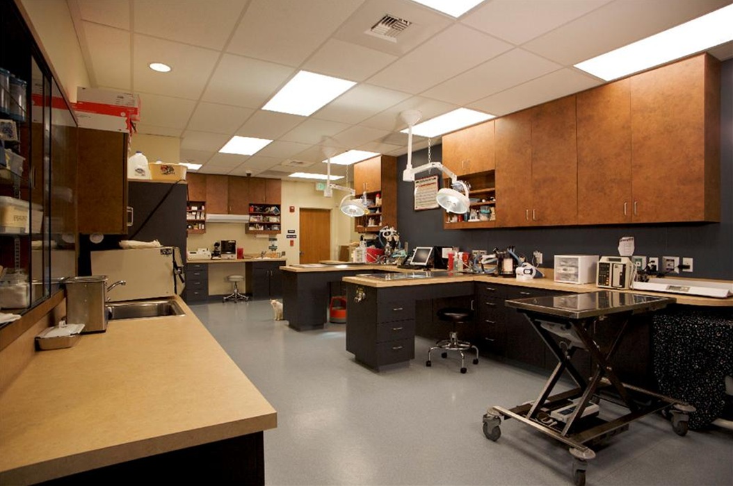 Lien Animal Clinic - Corstone