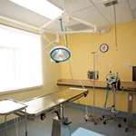 Lien Animal Clinic - Corstone