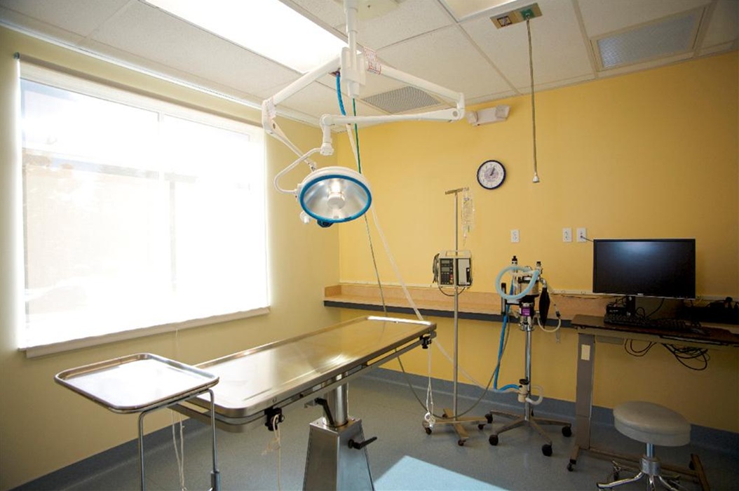 Lien Animal Clinic - Corstone