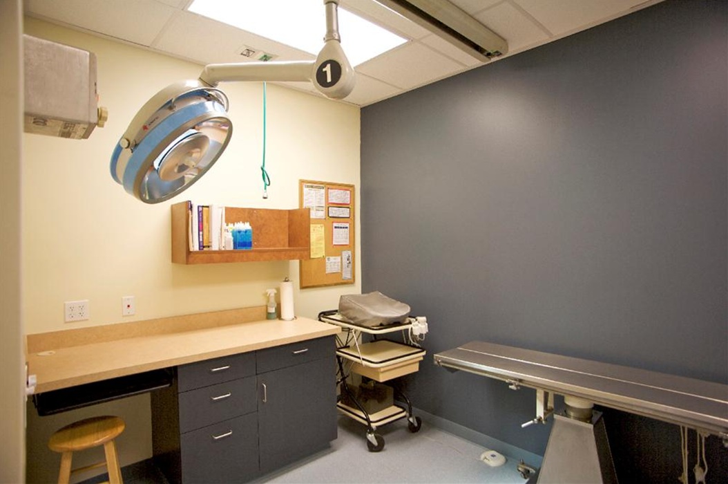 Lien Animal Clinic - Corstone