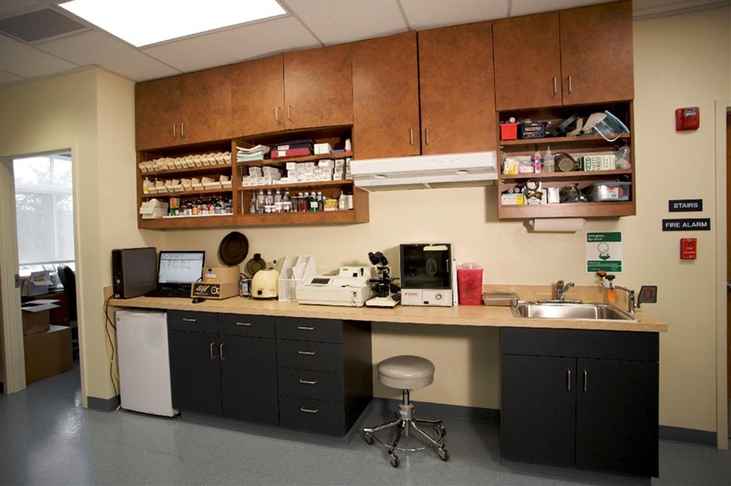 Lien Animal Clinic - Corstone