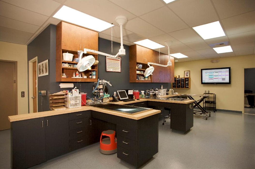 Lien Animal Clinic - Corstone