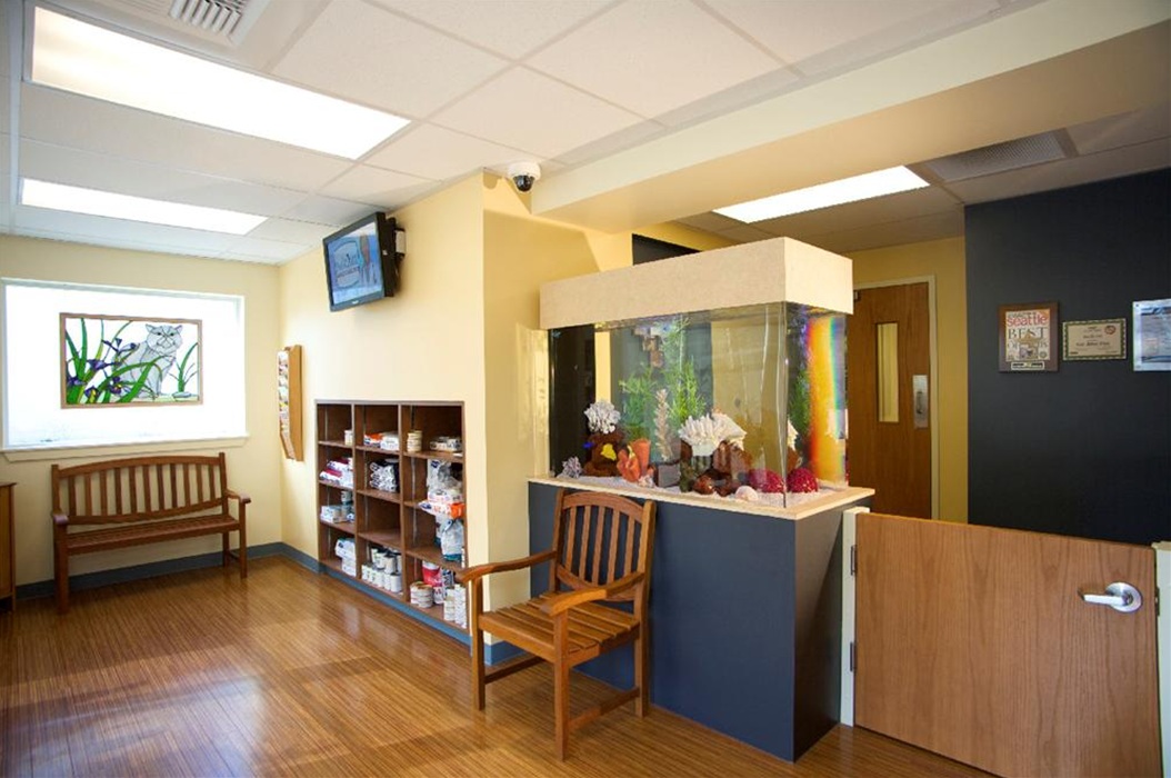 Lien Animal Clinic - Corstone
