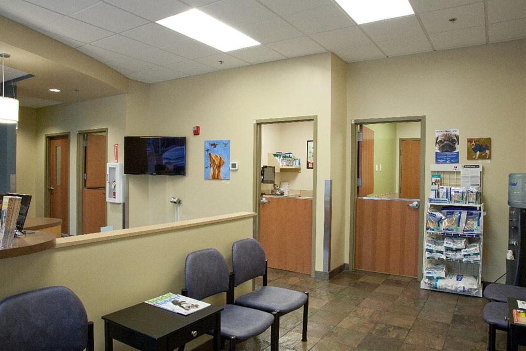 Main Street Animal Hospital - Corstone