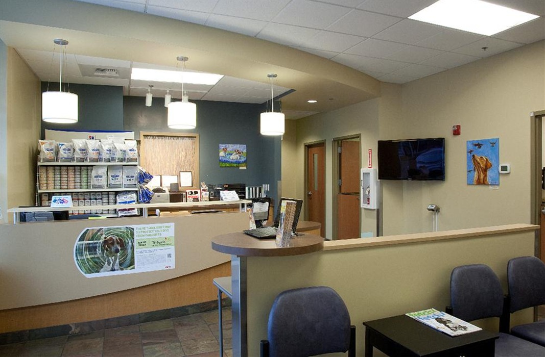 Main Street Animal Hospital - Corstone