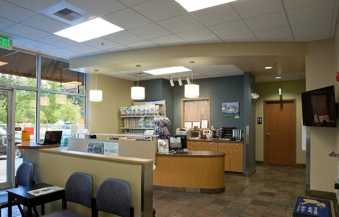 Main Street Animal Hospital - Corstone