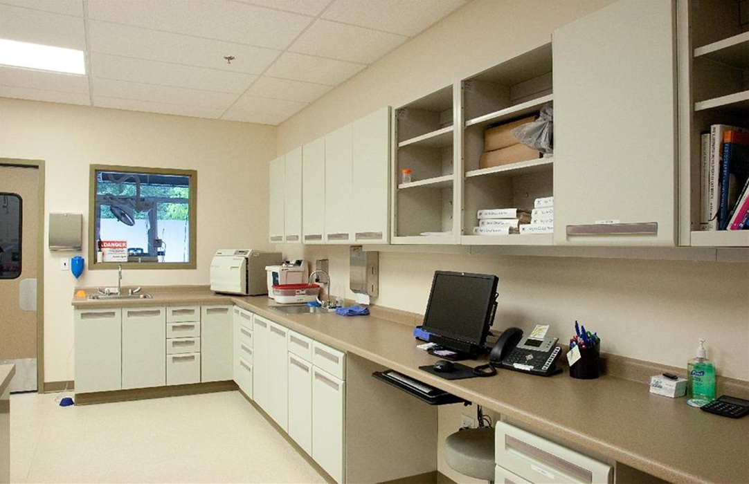 Main Street Animal Hospital - Corstone