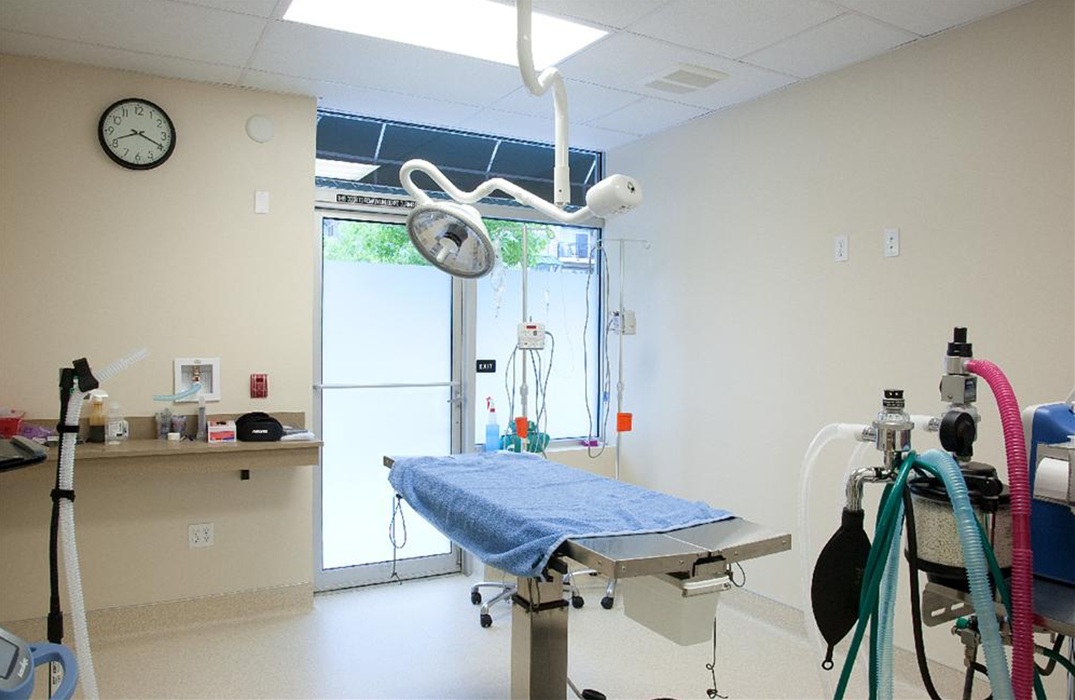 Main Street Animal Hospital - Corstone