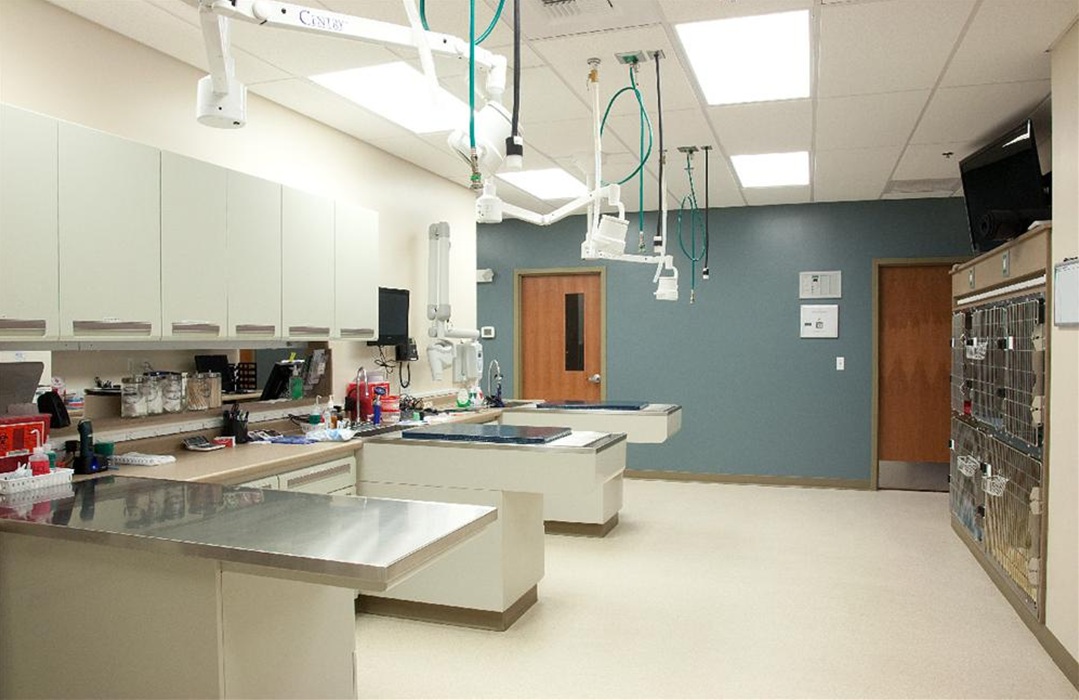 Main Street Animal Hospital - Corstone