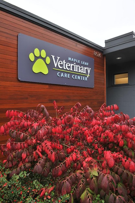 Maple Leaf Veterinary Care - Corstone