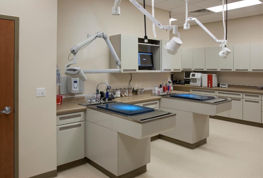 Northpointe Animal Hospital - Corstone