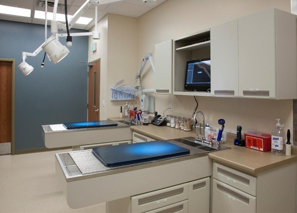 Northpointe Animal Hospital - Corstone