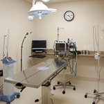 Northpointe Animal Hospital - Corstone