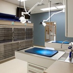 Northpointe Animal Hospital - Corstone