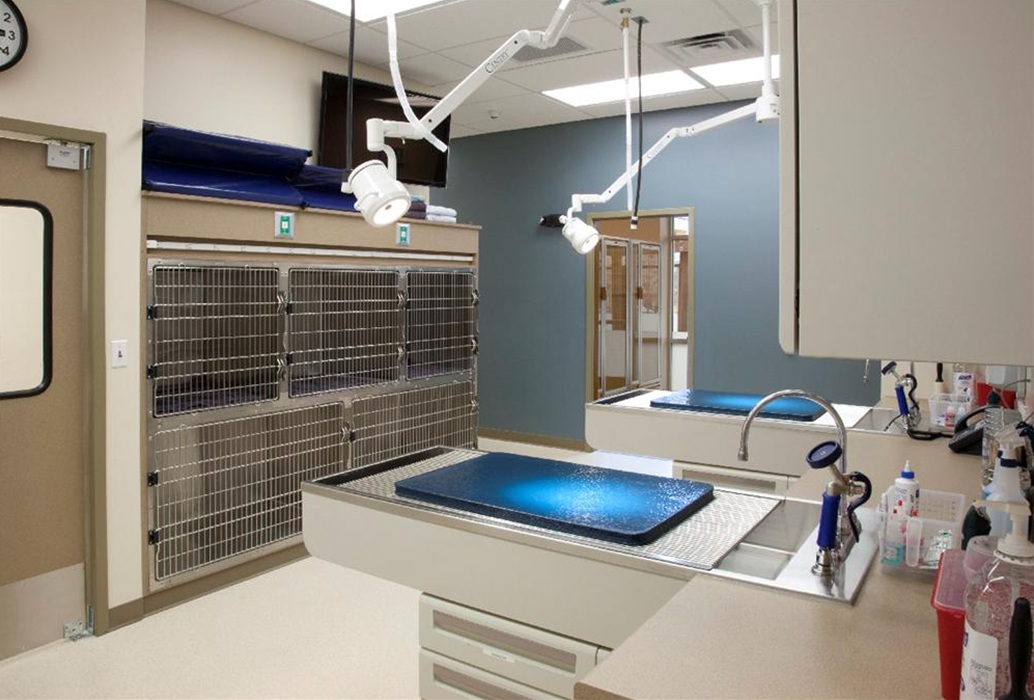 Northpointe Animal Hospital - Corstone