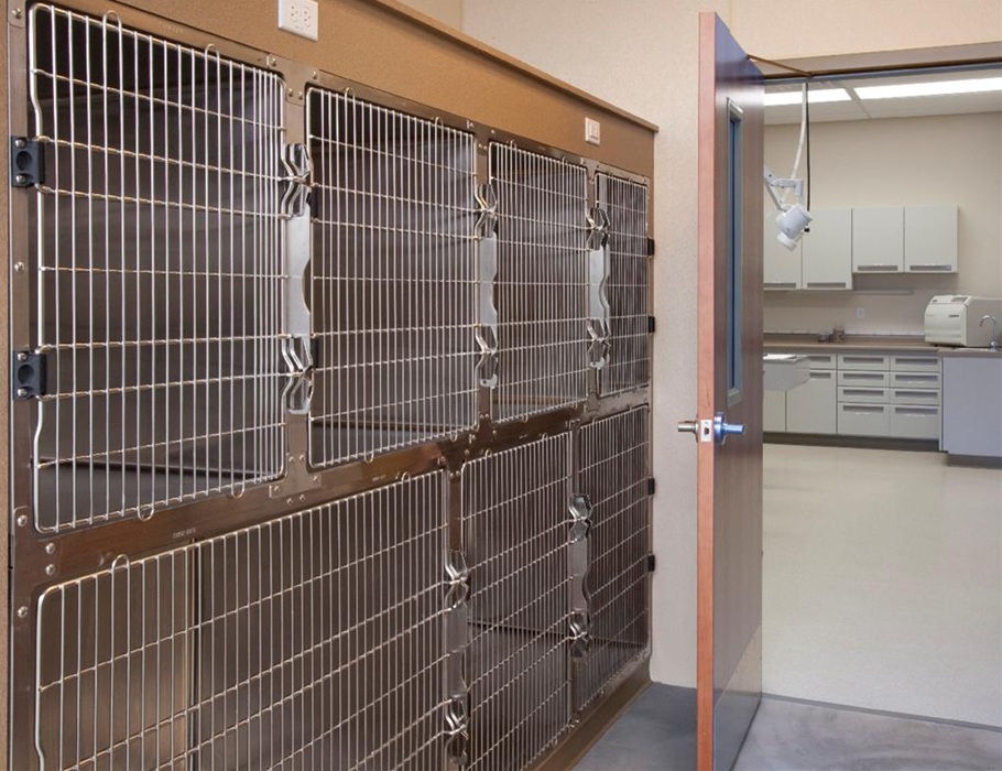 Northpointe Animal Hospital - Corstone