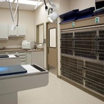 Northpointe Animal Hospital - Corstone