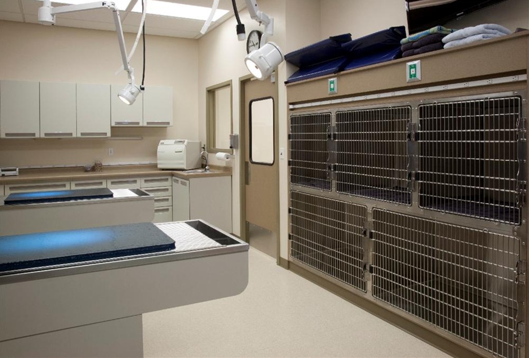 Northpointe Animal Hospital - Corstone