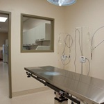 Northpointe Animal Hospital - Corstone