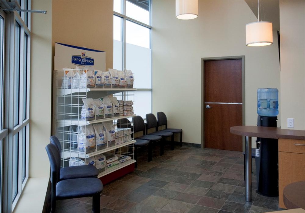 Northpointe Animal Hospital - Corstone