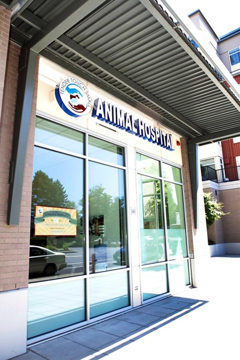 Tender Touch Small Animal Hospital - Corstone